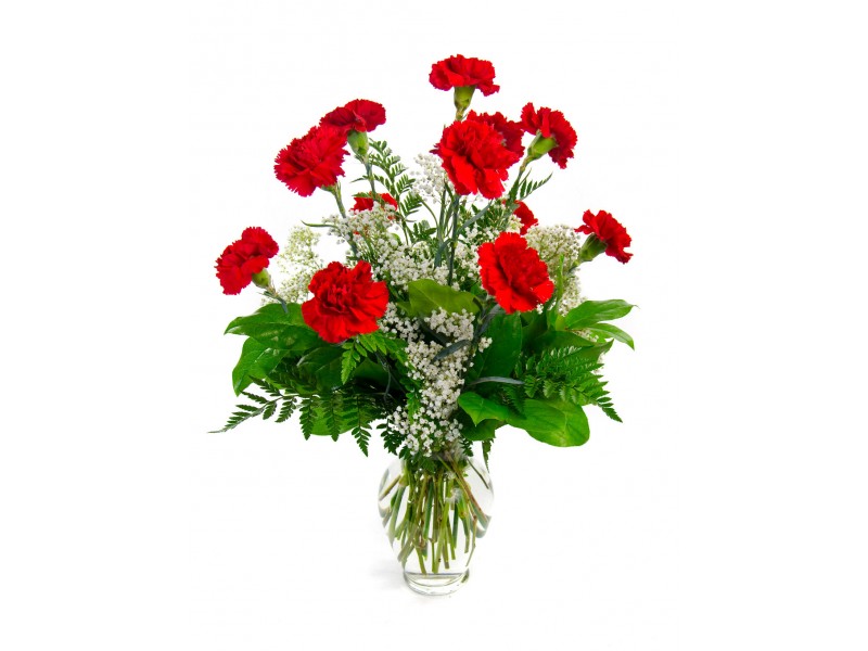 A Dozen Carnations Floral Arrangement - Brighten Someone's Day with ...