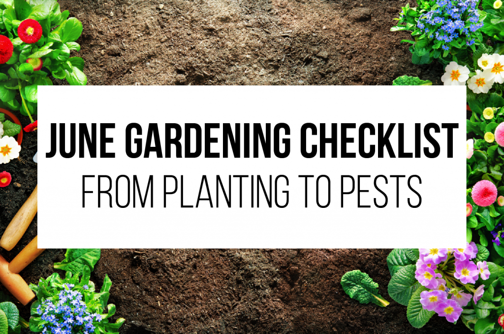 June Gardening Checklist - Strange's Florists, Greenhouses and Garden ...